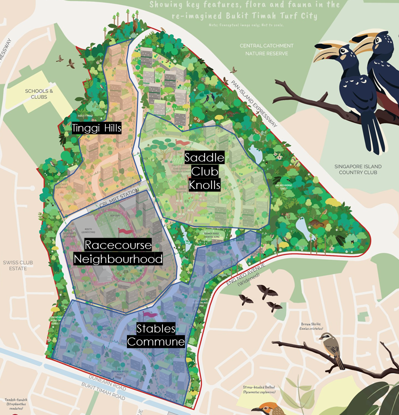 Bukit Timah Turf City – What You Need to Know About Bukit Timah’s ...